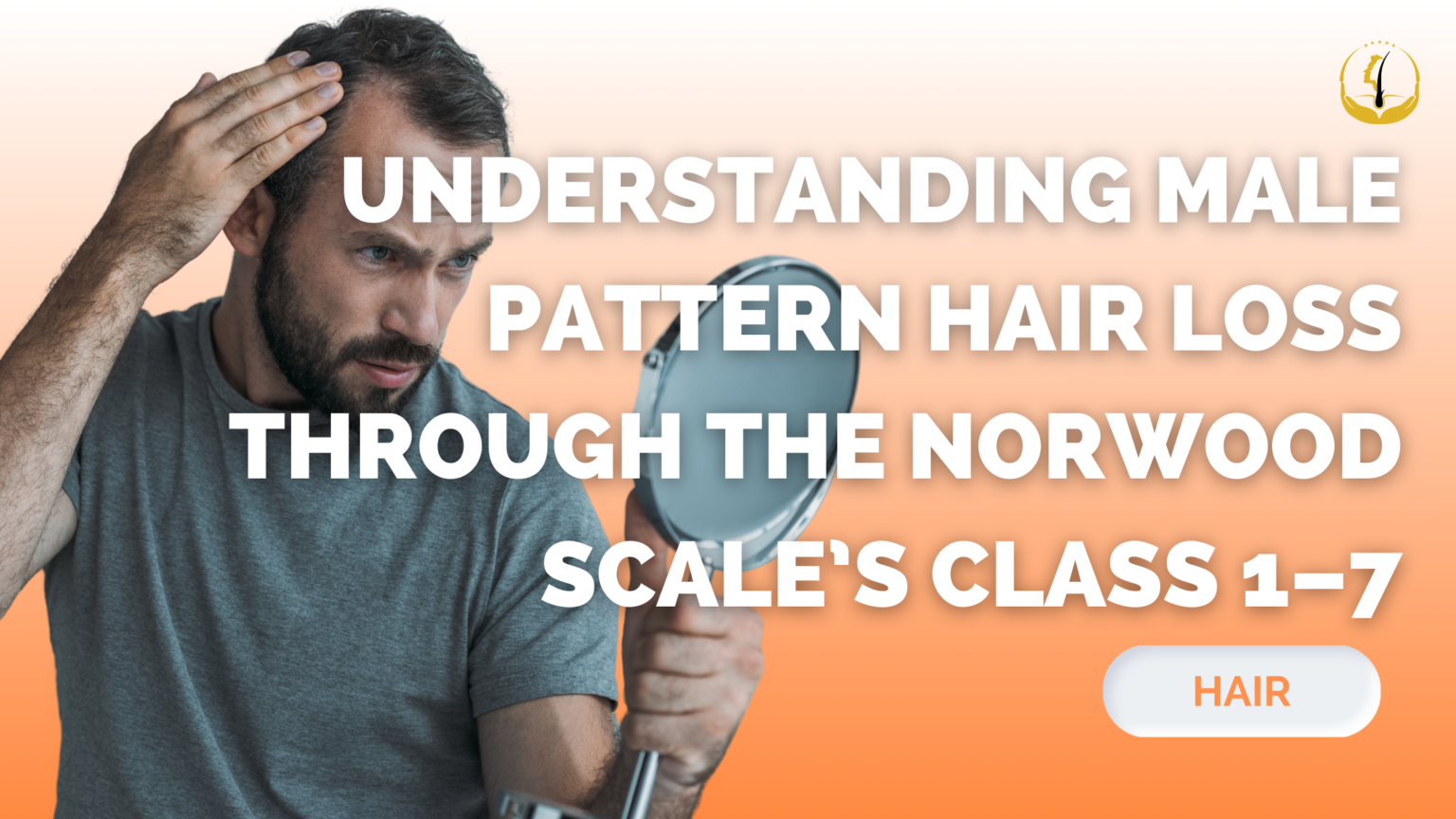 Male Pattern Hair Loss Through The Norwood Scale’s Class 1–7